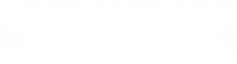 Dorman - IM Group